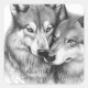 Cute Wolf Couple | Romantic Wedding Square Sticker | Zazzle