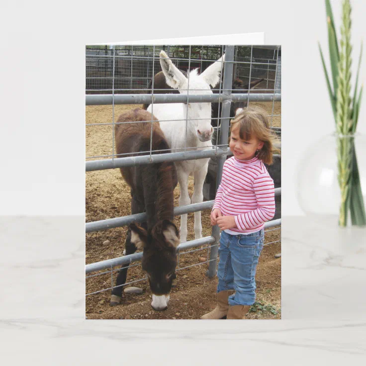 Cute Woman DVM Graduate Western Congratulations Card | Zazzle