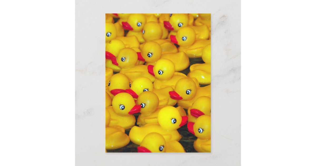 Cute yellow rubber duckies postcard | Zazzle