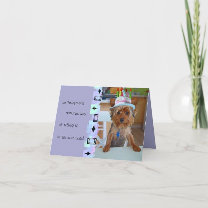 Cute Yorkie Birthday Card | Zazzle.com