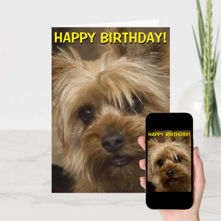 Cute Yorkie birthday card | Zazzle