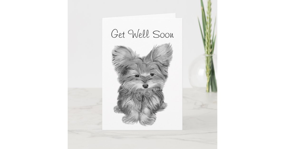 Cute Yorkie Dog Thank you and Get Well Greeting ca Card | Zazzle