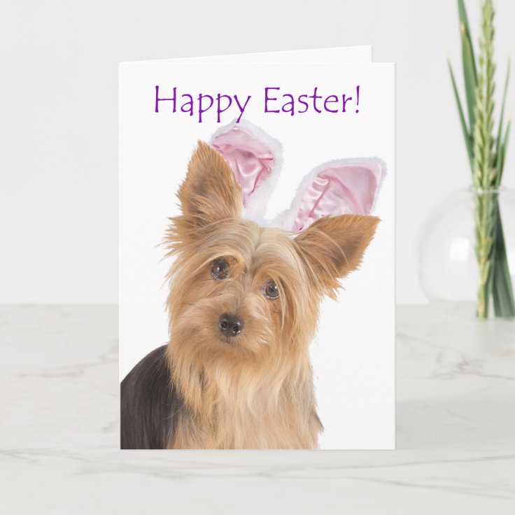 Cute Yorkie Easter Card | Zazzle