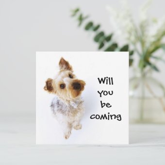 Cute Yorkie Puppy Yorkshire Terrier Party Invitation | Zazzle