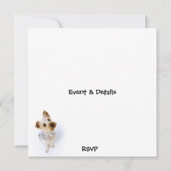 Cute Yorkie Puppy Yorkshire Terrier Party Invitation | Zazzle