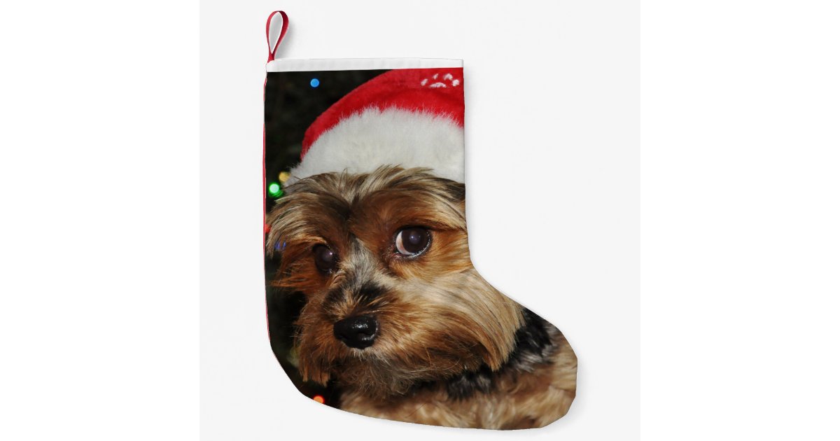 Cute Yorkshire Terrier with Santa Hat Small Christmas Stocking | Zazzle