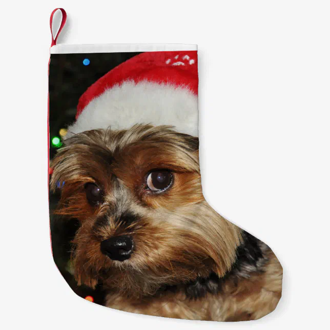 Cute Yorkshire Terrier with Santa Hat Small Christmas Stocking | Zazzle