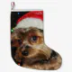 Cute Yorkshire Terrier with Santa Hat Small Christmas Stocking | Zazzle