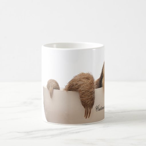 "Cuteness in a Bowl" Sloth Mug | Zazzle