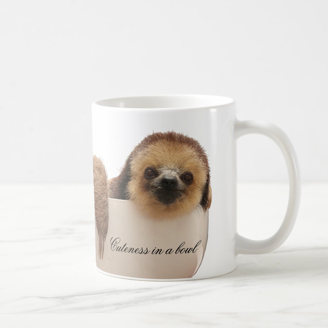 "Cuteness in a Bowl" Sloth Mug | Zazzle