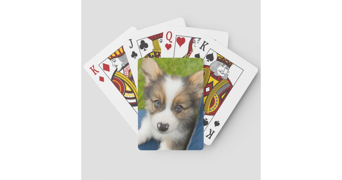 Cutest Baby Animals | Baby Corgi in My Lap Poker Cards | Zazzle