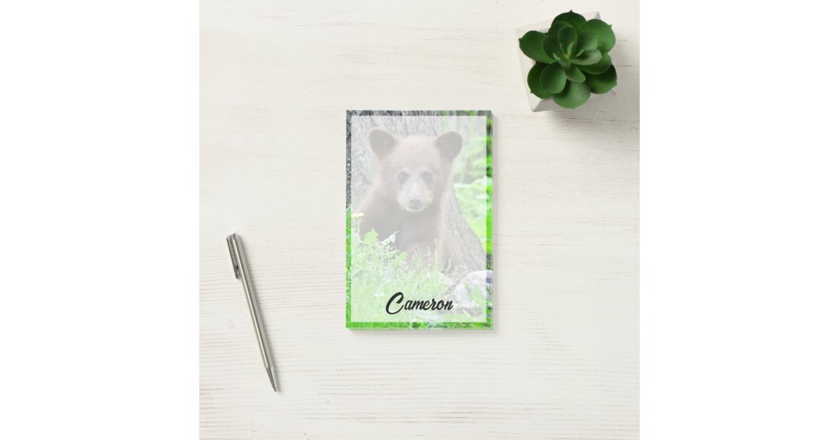 Cutest Baby Animals | Brown Bear Cub Post-it Notes | Zazzle