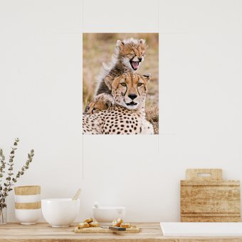 Cutest Baby Animals | Cheetah Cat & Cub Poster | Zazzle