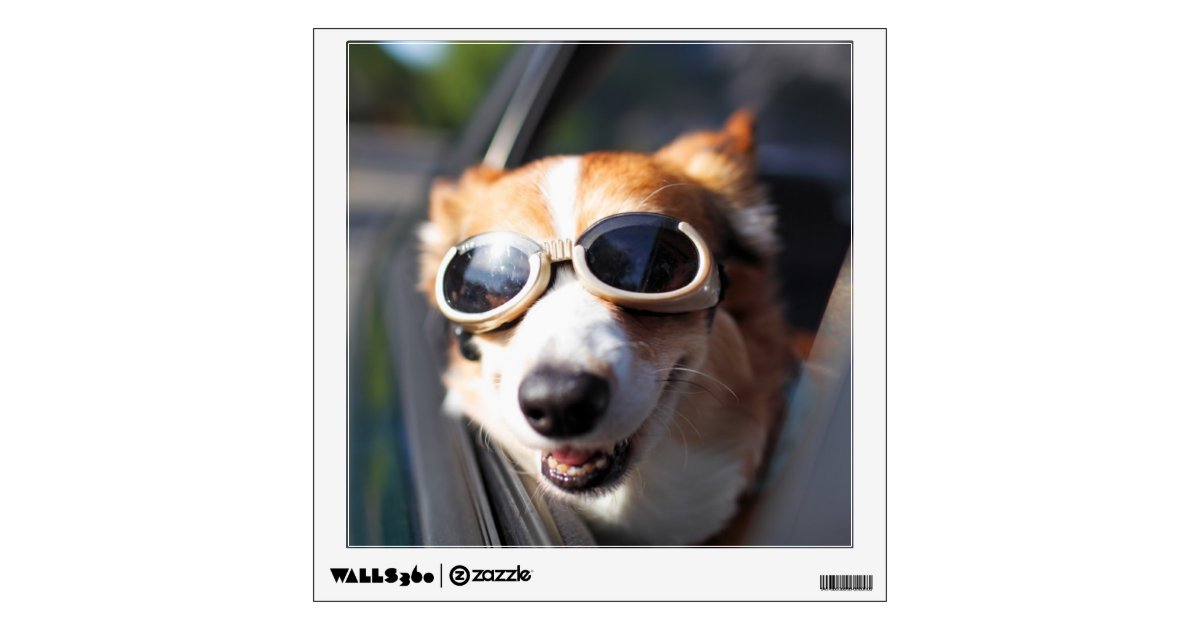 Cutest Baby Animals | Corgi Goggles in the Car Wall Decal | Zazzle
