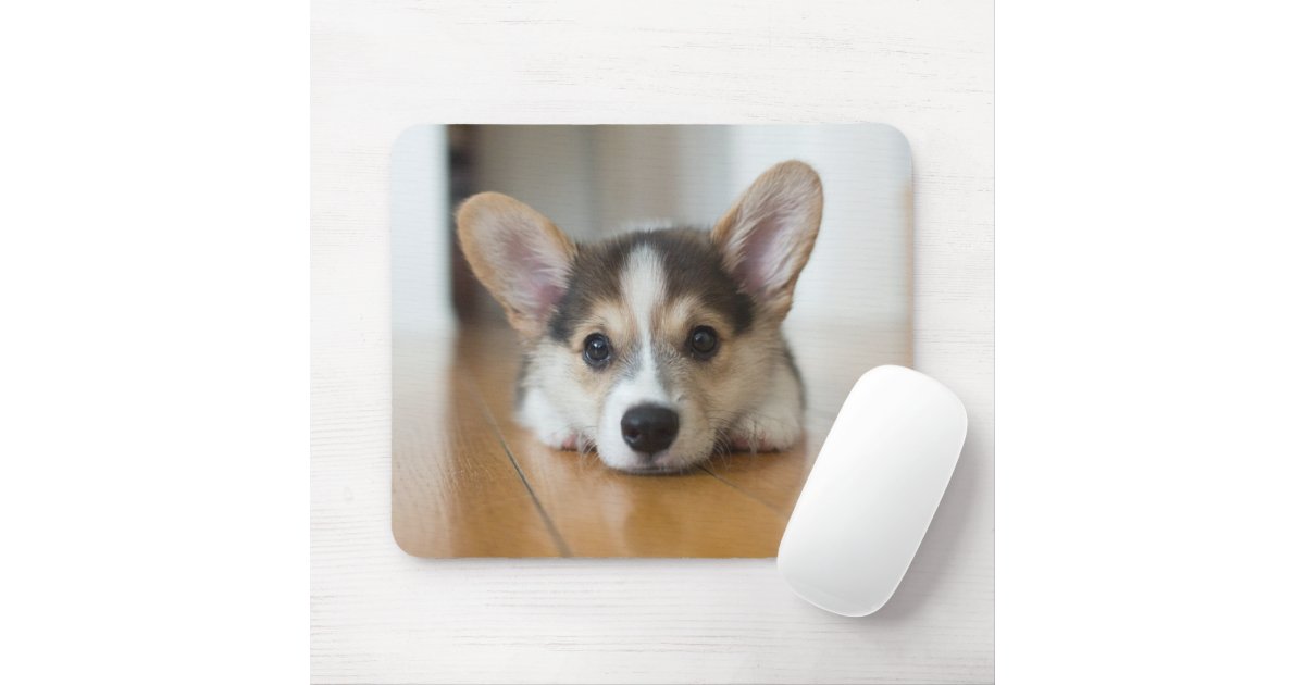 Cutest Baby Animals | Corgi Puppy Looking Mouse Pad | Zazzle