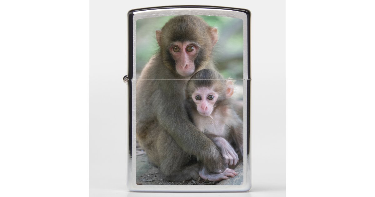 Cutest Baby Animals | Japanese Monkeys Zippo Lighter | Zazzle