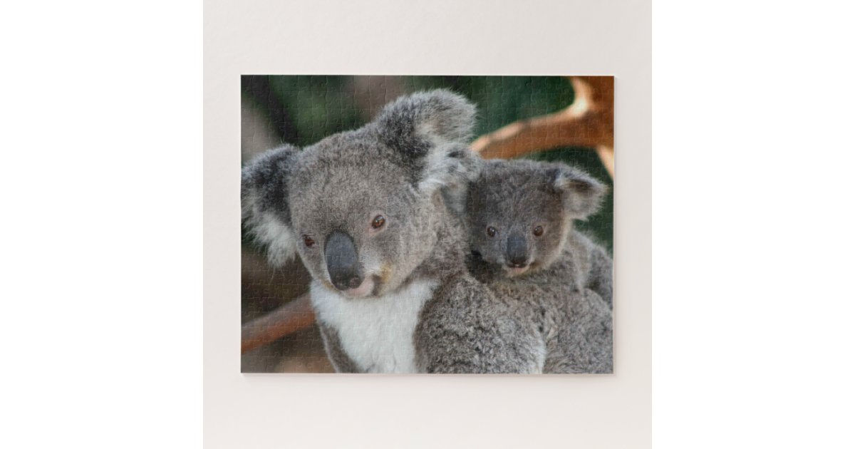 Cutest Baby Animals | Koala and Joey Jigsaw Puzzle | Zazzle