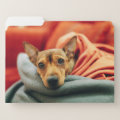Cutest Baby Animals | Miniature Pinscher File Folder | Zazzle