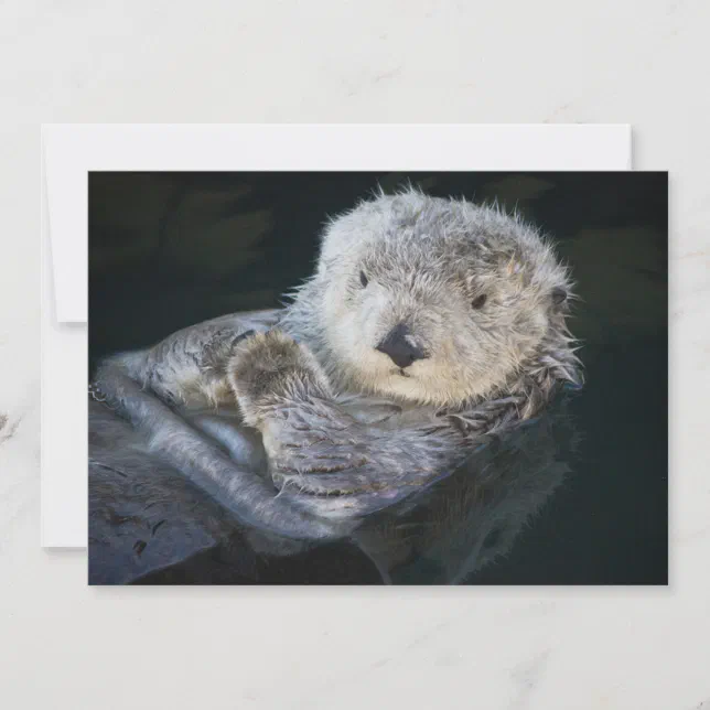 Cutest Baby Animals | Sea Otter Floating Thank You Card | Zazzle