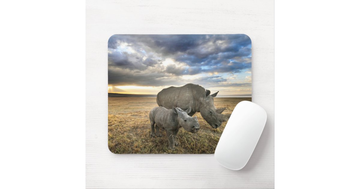 Cutest Baby Animals | White Rhino & Calf Mouse Pad | Zazzle