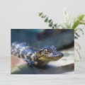 Cutest Baby Animals | Young Alligator Thank You Card | Zazzle