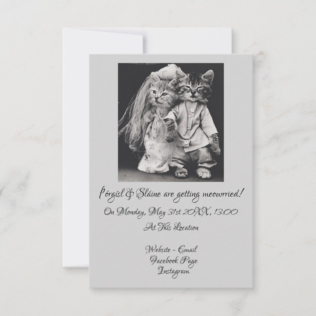 Cutest Cat-Themed Wedding Invitation Ever | Zazzle
