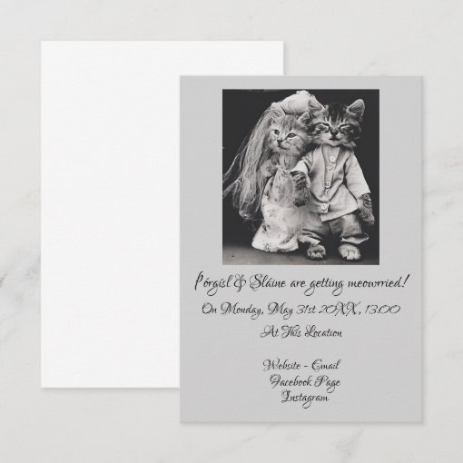 Cutest Cat-Themed Wedding Invitation Ever | Zazzle