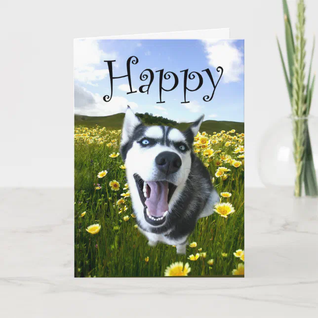 Cutest Husky Dog Happy Birthday Card | Zazzle