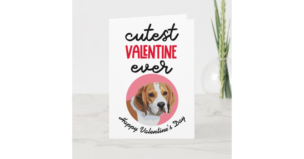Cutest Valentine Ever ..from your Beagle Holiday Card | Zazzle