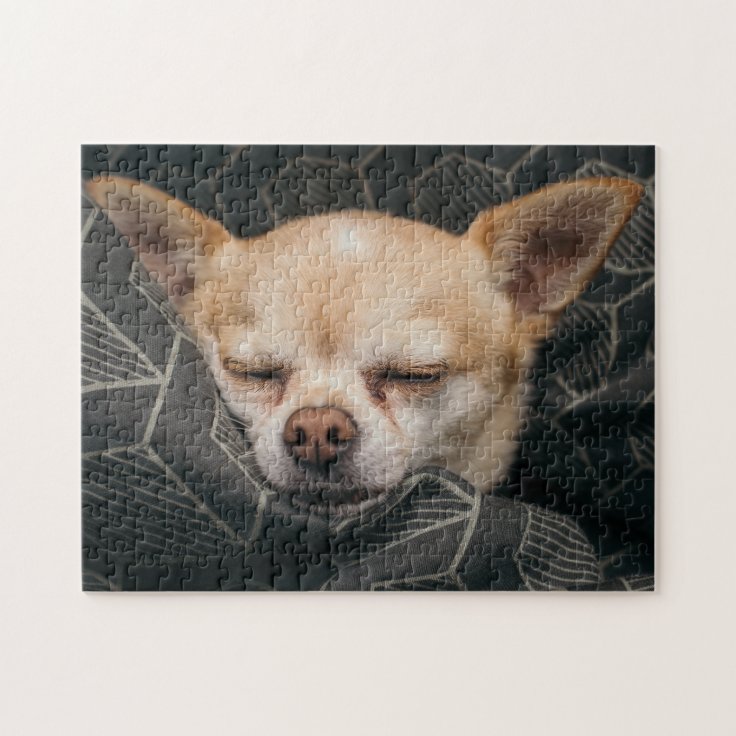 Cutie Chihuahua Jigsaw Puzzle | Zazzle