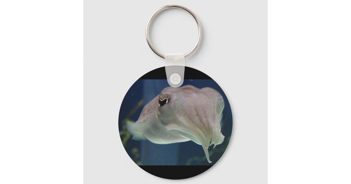 cuttlefish keychain | Zazzle
