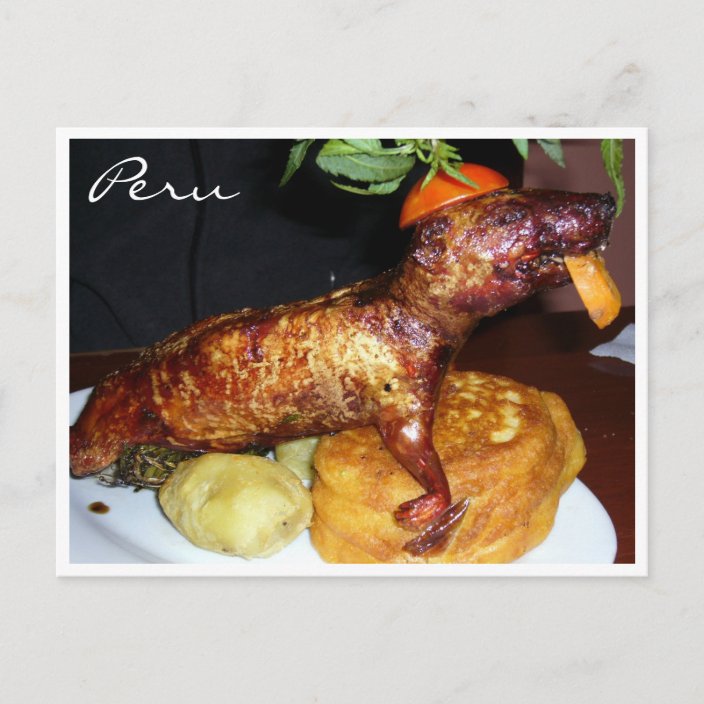 cuy peru postcard | Zazzle.com