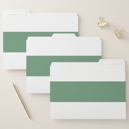 Cyan Green and White Simple Extra Wide Stripes File Folder | Zazzle.com