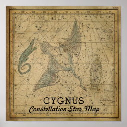 Cygnus Swan Constellation Star Map Poster | Zazzle