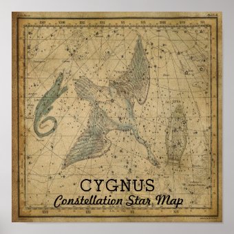 Cygnus Swan Constellation Star Map Poster | Zazzle