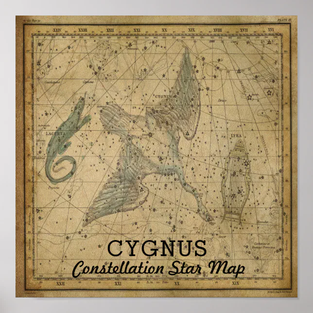 Cygnus Swan Constellation Star Map Poster | Zazzle