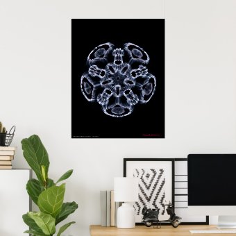 Cymatics: Music Note C Poster | Zazzle