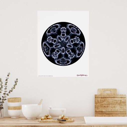 Cymatics: Music Note C Poster | Zazzle