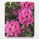 Cynthia Rhododendrons, Oregon Mouse Pad | Zazzle