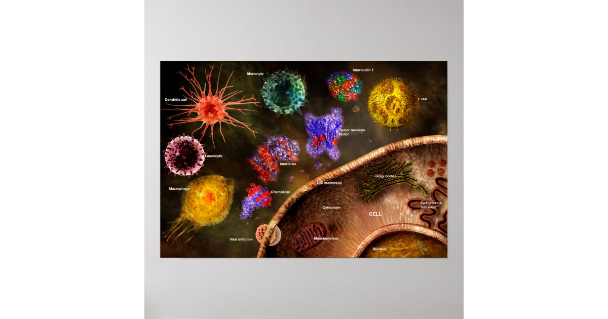 Cytokines poster | Zazzle