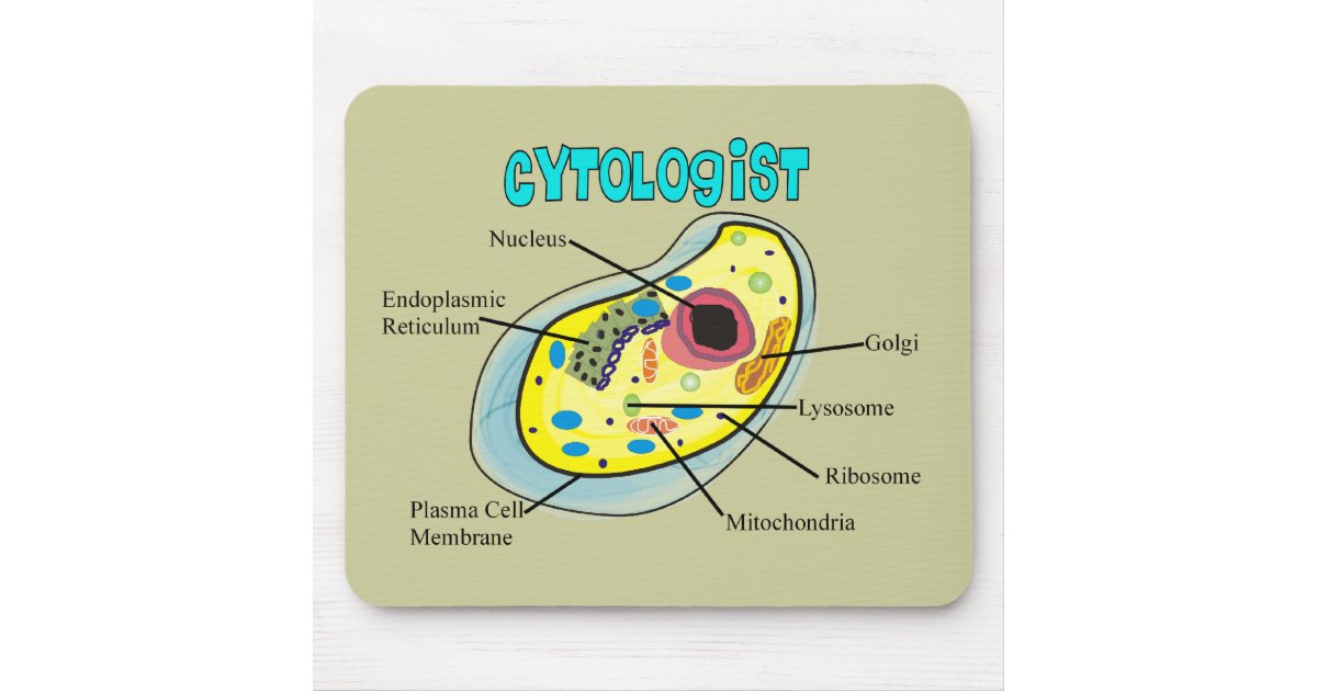Cytologist Human Cell Drawing Gifts Mouse Pad | Zazzle