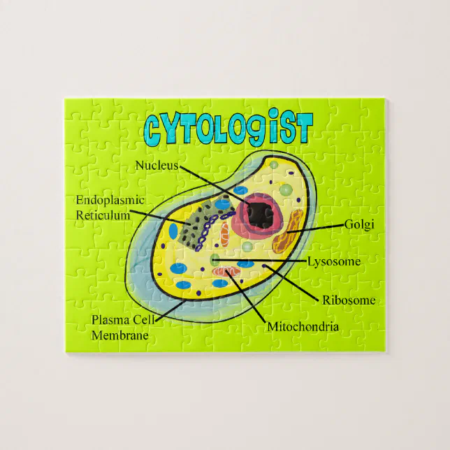 Cytologist Human Cell Puzzle | Zazzle