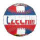 Czech Republic Flag and Coat of Arms Patriotic Baseball | Zazzle