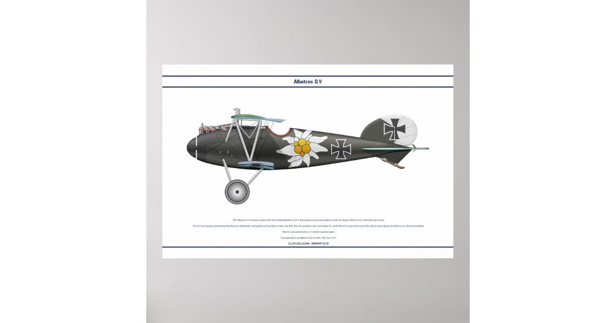 D.V Jasta 16b Poster | Zazzle