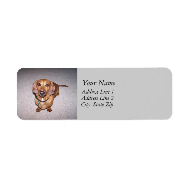 Dachshund Address Labels | Zazzle
