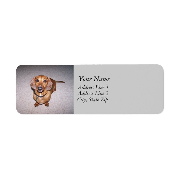 Dachshund Address Labels | Zazzle.com