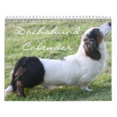 Dachshund Calender Calendar | Zazzle