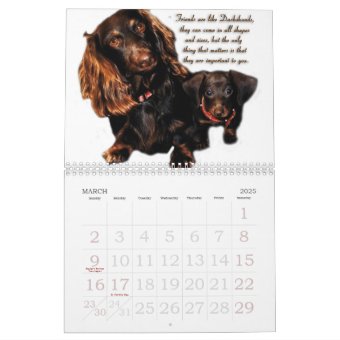 Dachshund Calender Calendar | Zazzle