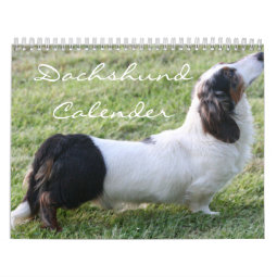 Dachshund Calender Calendar | Zazzle