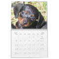 Dachshund Calender Calendar | Zazzle
